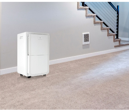 Professional Room Air Products | Friedrich